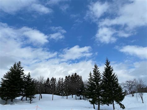 前田 有紀 新年を迎えました🎍 年末は最後の方までお仕事詰め詰めでしたが、年が明けてからはのんびり鎌倉で、家族の時間をたっぷりとれています。街を散策したり、公園いったり。街に出ると知り合い