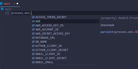 Typing Processenv Automatically With This Vsc Extension Rdevto