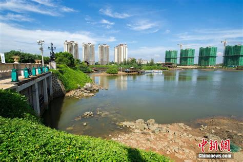 海南百亩红树林遭破坏 沦为高档小区垃圾场频道凤凰网