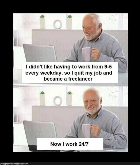 Reality ProgrammerHumor Io