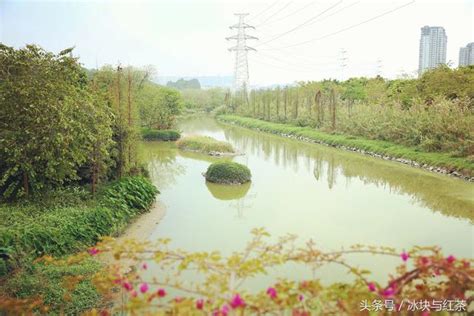 廣州市花都區新華鎮「六湖」亮點工程之一美麗花都湖景色 每日頭條