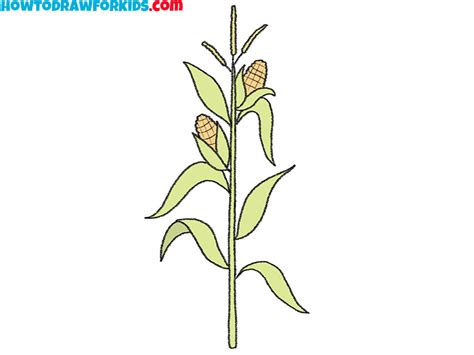 How To Draw A Corn Cob Easy Corn On Cob Corn Drawing
