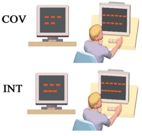 Week 1 Developmental Science Intro Flashcards Quizlet