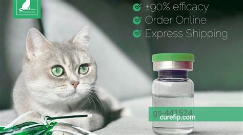Il Farmaco Sperimentale Contro La FIP La Peritonite Infettiva Felina