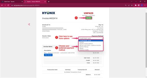 How To Pay An Unpaid Invoice Knowledge Base Hyonix