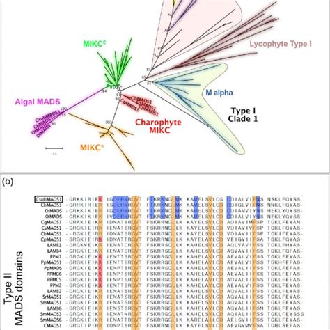 Graphical Representation Of The Regulation Of Growth And Stress Download Scientific Diagram