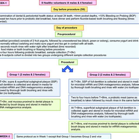 A Experimental Balanced Design For Determination Of Rna Expression Download Scientific