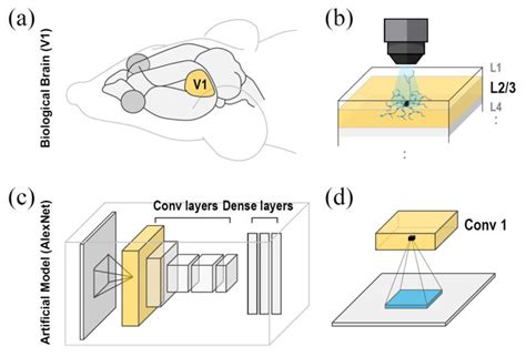 쿠키과학 인간처럼 중요한 장면만 선별하는 Ai 등장