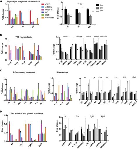 A Subset Of Genes Implicated In Late Thymic Involution Are Deregulated Download Scientific