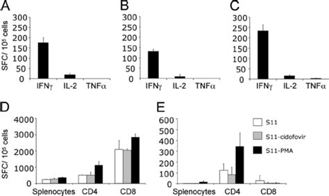 S11 Tumor B Cells Stimulate ␥ Hv68 Specific Cd4 And Cd8 T Cell