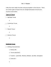 Understanding Tissues Epithelial And Connective Tissue Types Course Hero