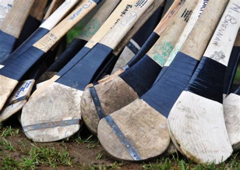 Harty Cup Semi Final Tickets For Thurles Cbs Game Go On Sale Tomorrow