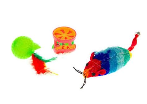Best Cat Toys For Bored Cats Cat Expedition