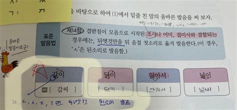 중2 국어 발음 질문 지식in