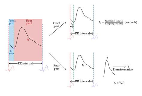 single ppg pulse processing to estimate pat download scientific diagram