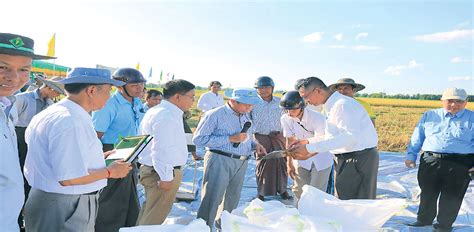 ပန်းတနော်မြို့နယ်အတွင်းရှိ မိုးစပါးစိုက်ကွင်းများနှင့် လယ်ယာကုန်ထုတ်လုပ