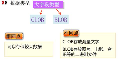 《oracle高级数据库》期末复习一文总结oracle数据库期末考试 Csdn博客