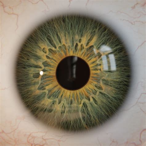 Procedural Human Iris Generator 3 By Kokoze Works In Progress
