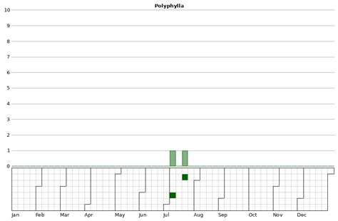 None Polyphylla Insects Of Iowa