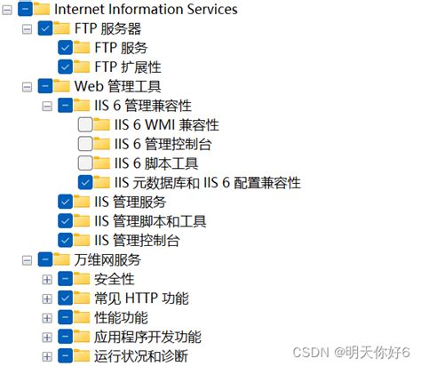 Windows环境（本地端以及华为云服务器）搭建服务器本地服务器 Csdn博客