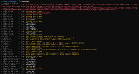 Reverse Engineering Ctf Newbies Part 1 By Hackthebox Srmist