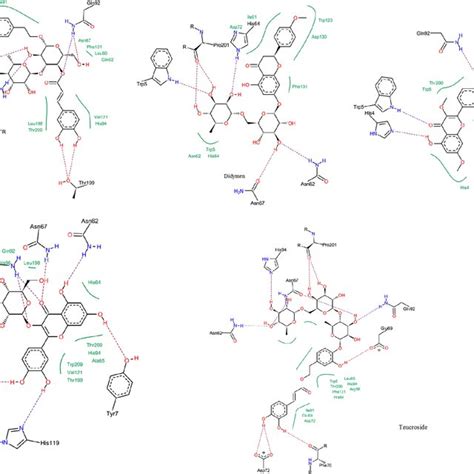Potential Binding Modes Of Compounds And Hca Ii Download Scientific Diagram