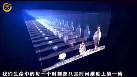 90秒告诉你，一维、二维、三维、四维到底是什么 科技 科普 好看视频