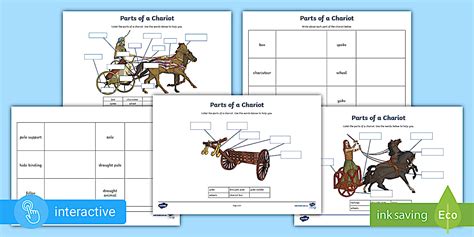 Parts Of A Chariot Activity Sheets Teacher Made Twinkl