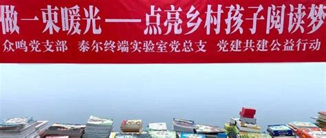 阅享六一丨宝宝树众鸣党支部联合信通院泰尔终端实验室党总支开展图书捐赠公益活动 绘本 乡村 圣尧