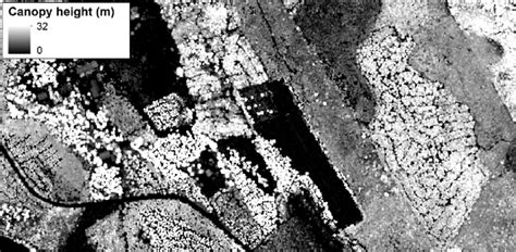 4 A Lidar Based Canopy Height Model Showing The Canopy Height In Download Scientific Diagram