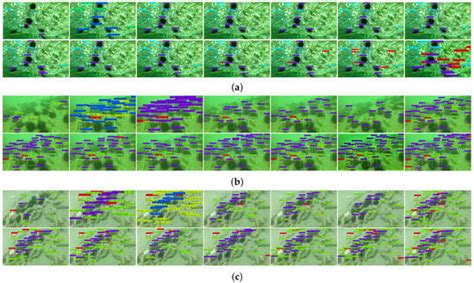 Jmse Free Full Text Collaborative Framework For Underwater Object