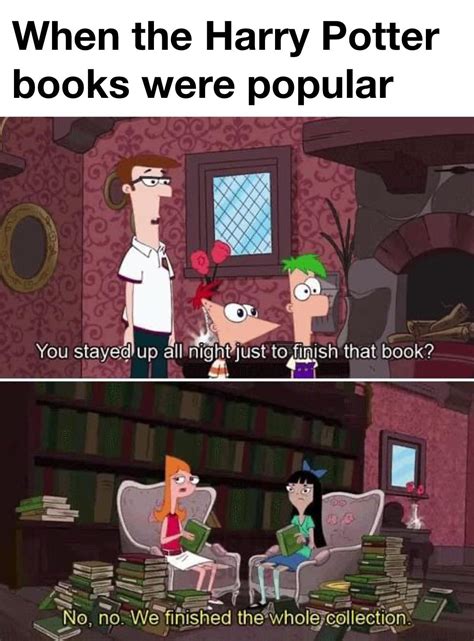 Remember Harry Potter Rmemes