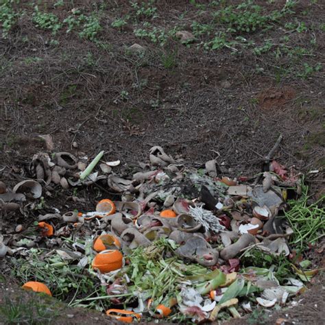 How To Make A Diy Compost Bin Garden For Beginners