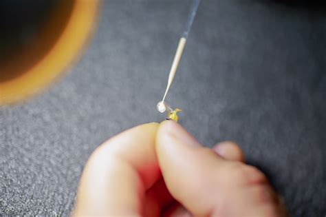 양 봉가 드 론을 들고 하 고 정자를 수집 꿀 꿀벌 수정 농업 재생산 농업에서의 인공 수정 꿀벌의 유전 물질을 수집 Dna에