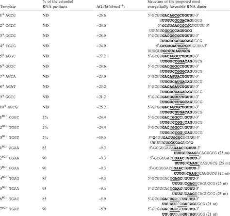 Self Complementarity Analysis Of The Most Relevant Templates The