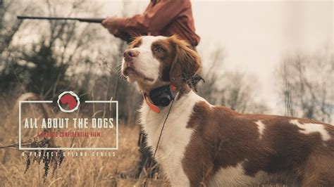 Brittany Setters Instagram Twitter And Facebook On Idcrawl