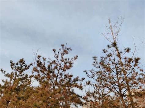 史上最催泪的4首诗词句句扎心90 的人哭着读完 知乎
