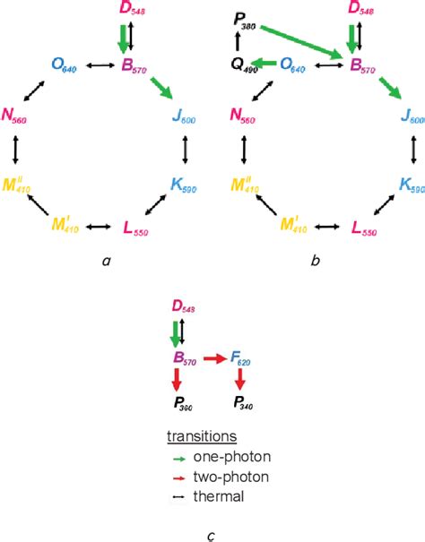 Figure 1 From Design Of Chemically Modified Bacteriorhodopsin Films For
