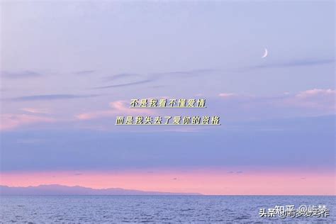 “灵魂撕扯，我被这本爱情小说虐出内伤。” 知乎
