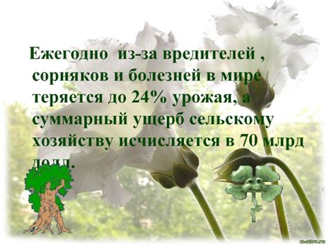 Химические средства защиты растений