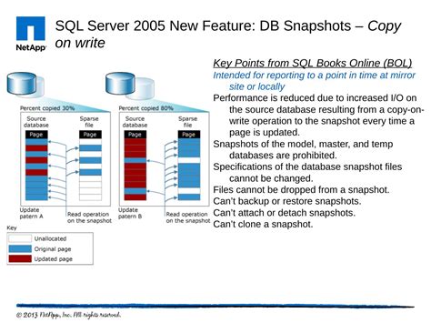 Microsoft Sql Server Architecture Netapp Community