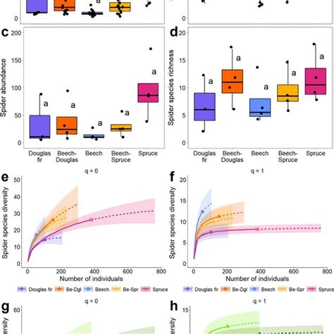 Relationships Between Box Dimension Structural Complexity And Local Download Scientific