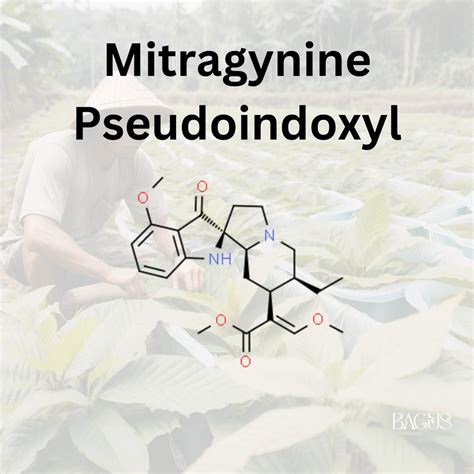The Alkaloids In Kratom Mitragynine Pseudoindoxy