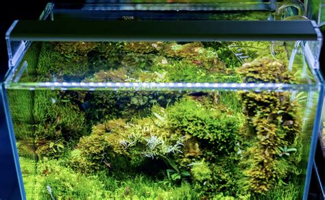 10 Best Led Aquarium Lighting For Plants