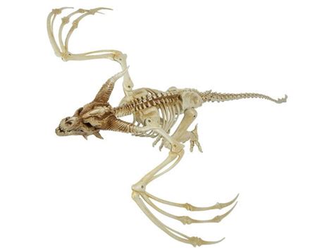 Hanging Pterosaur Dragon Skeleton Halloween Decor
