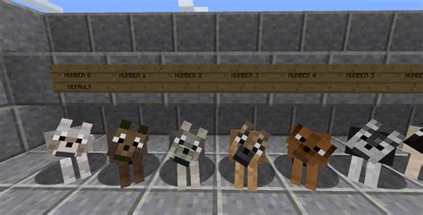 Doggy Talent Dog Tp Discontinued For Now Minecraft Resource Packs