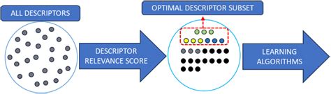 A Review On The Application Of Molecular Descriptors And Machine