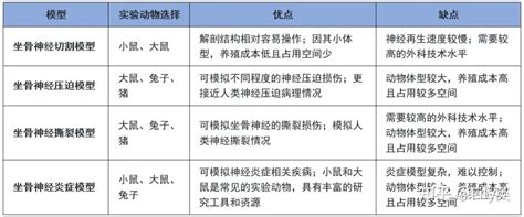 坐骨神经损伤模型构建、评价及药理药效研究热点 知乎