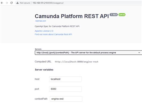 camunda bpm platform docker image swaggerui discussion and questions