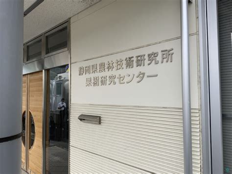 果樹研修センター足立柿園の日々陽だまりの里 足立柿園